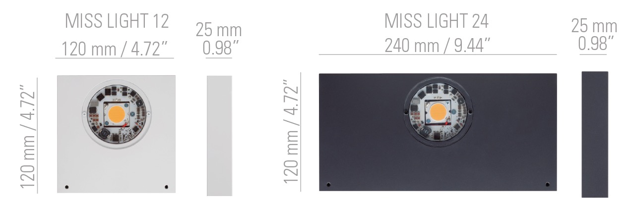 Miss Light 12 / Miss Light 24 - B Light